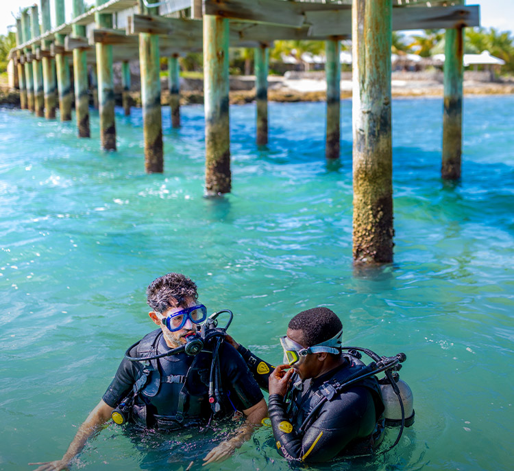 Learn To Dive | Andros, Bahamas