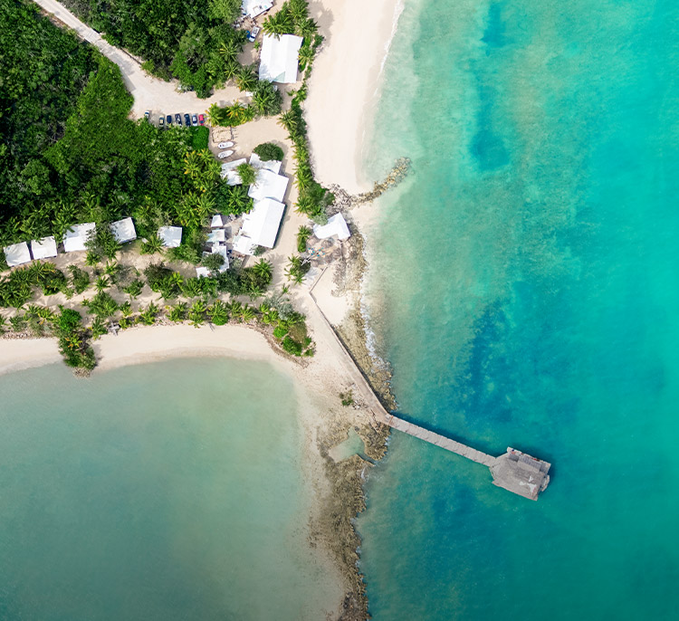 Learn To Dive | Andros, Bahamas